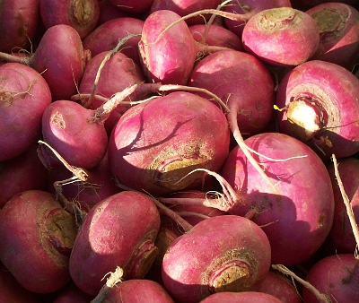 The Complete Guide to Turnips